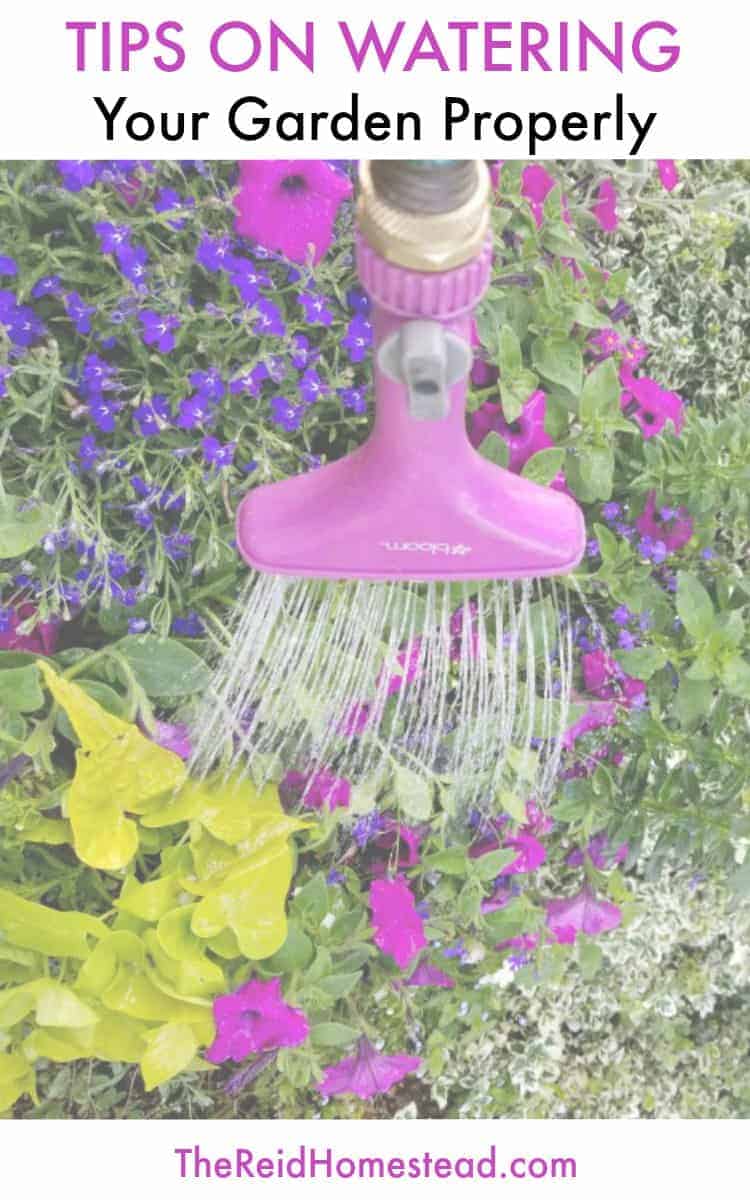 Watering Solutions - Farm Fresh Tuesday (#6)