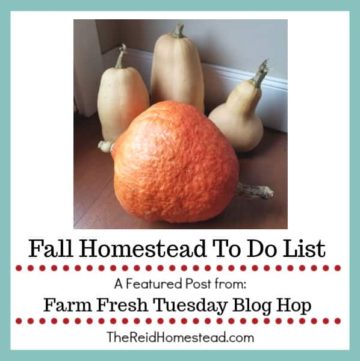 Monthly Homestead To Do Lists Archives - The Reid Homestead