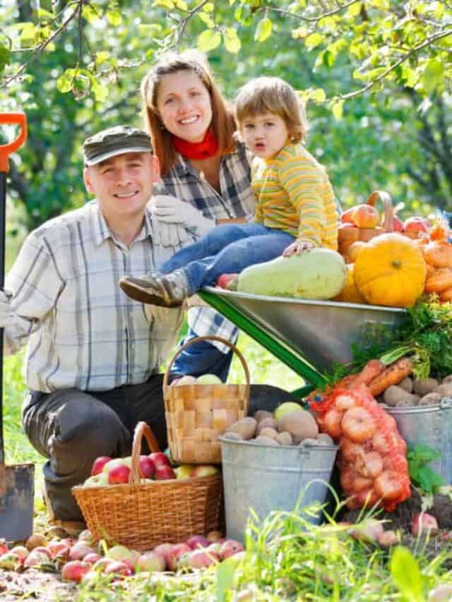 The Benefits of Vegetable Gardening with Kids - The Reid Homestead