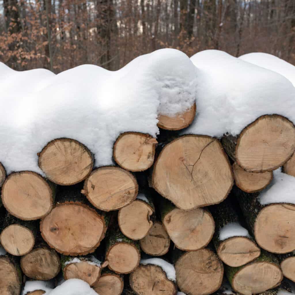 25 Homesteading Tasks for the Winter