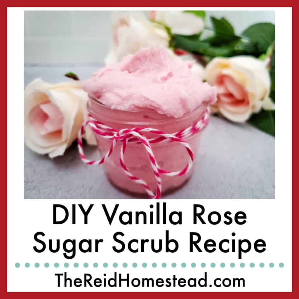 Homemade DIY Vanilla Rose Sugar Scrub Recipe