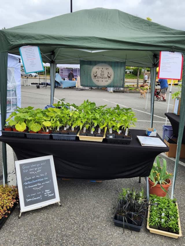 How to Have a Plant Sale - The Reid Homestead