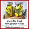 Quick Easy No Cook Refrigerator Pickles